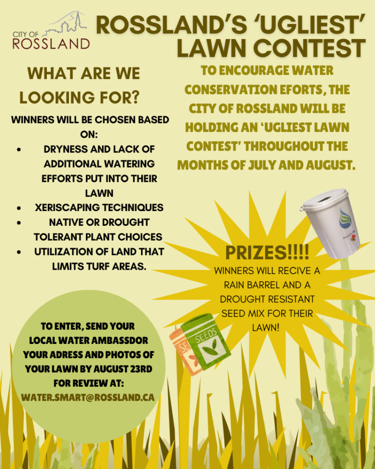 Rossland’s Ugliest Lawn Contest – Rossland
