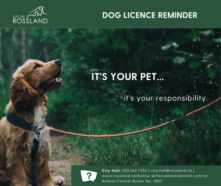 Dog Licence Reminder – Rossland